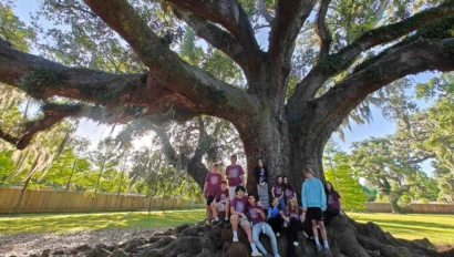 united-states-group-tree - Global Works